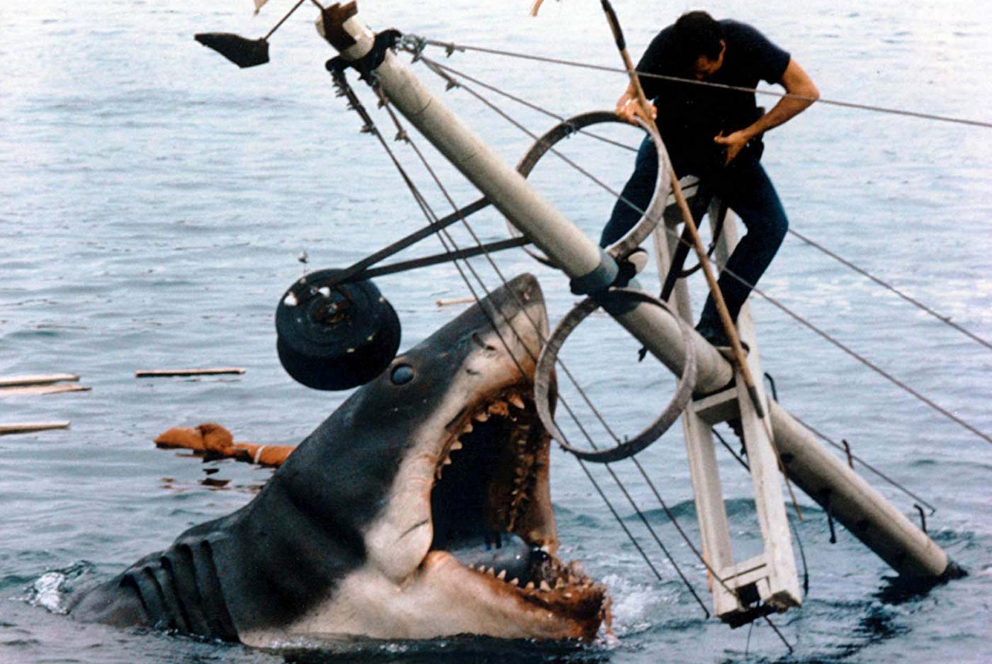 (Re)Visioni Clandestine #15: Lo squalo | Cineclandestino